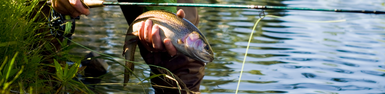 Stillwater Trout Fishing Techniques: Essential Tips And Strategies