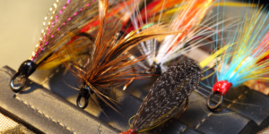 The Ultimate Guide to Fly Fishing for Bass: How to Choose the Right ...